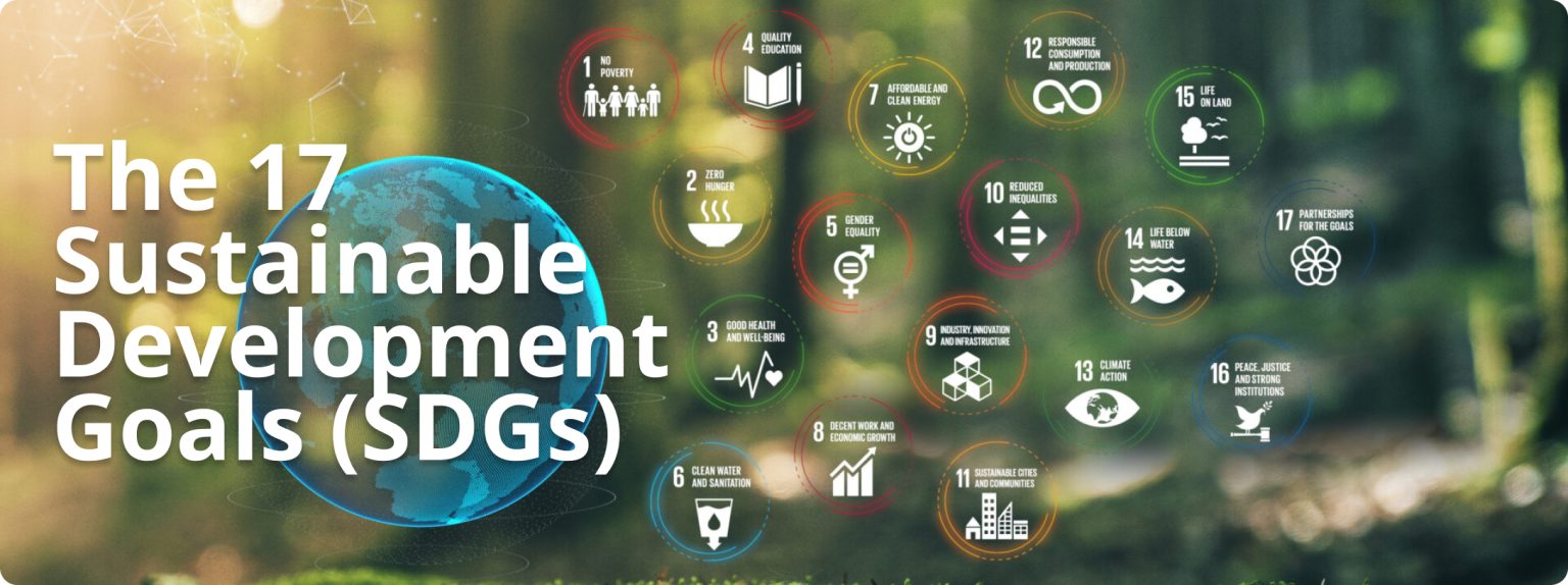 SDGs: Building a Sustainable Future with Teamtrics - Teamtrics - AI ...